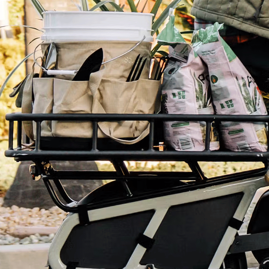 Electric Family Cargo Bike| Hauling Bike| Carrier Bike Yoto Lion – Yotobike