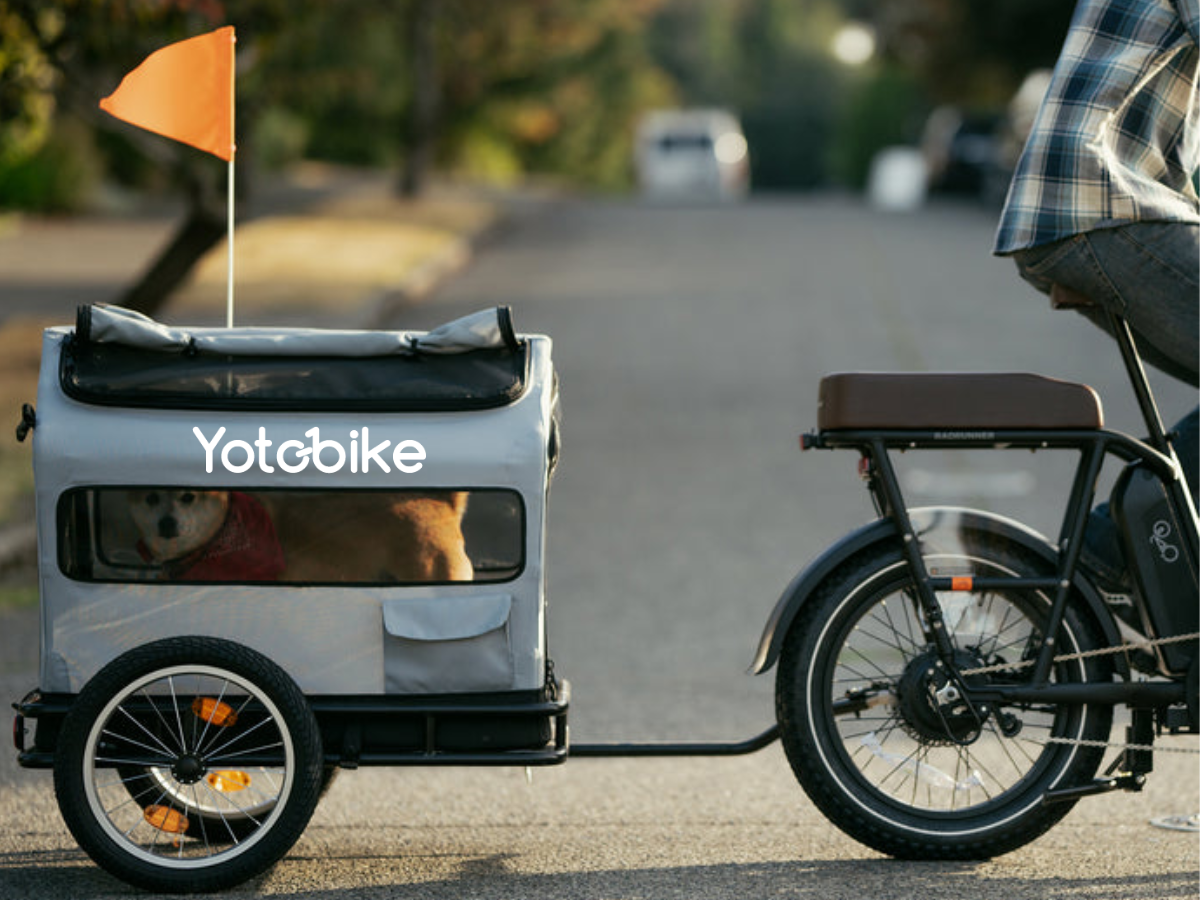 Electric Family Cargo Bike| Hauling Bike| Carrier Bike Yoto Lion – Yotobike